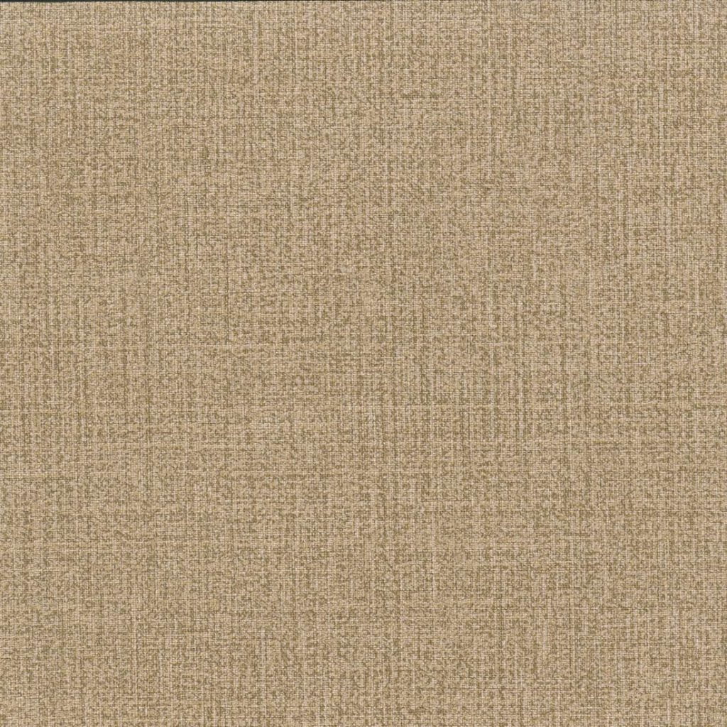 Scratch Wall Wallpaper | Rubelli | Passerini